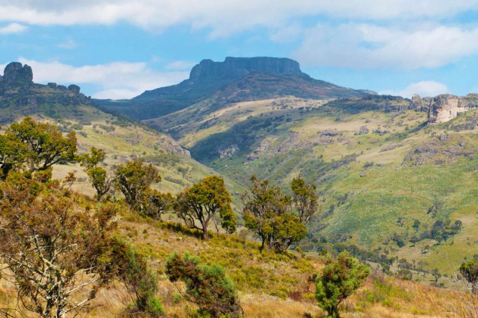 Mount Elgon National Park - Tripscapers Africa